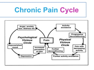 Physical therapy management of pain,shimaa essa | PPTX