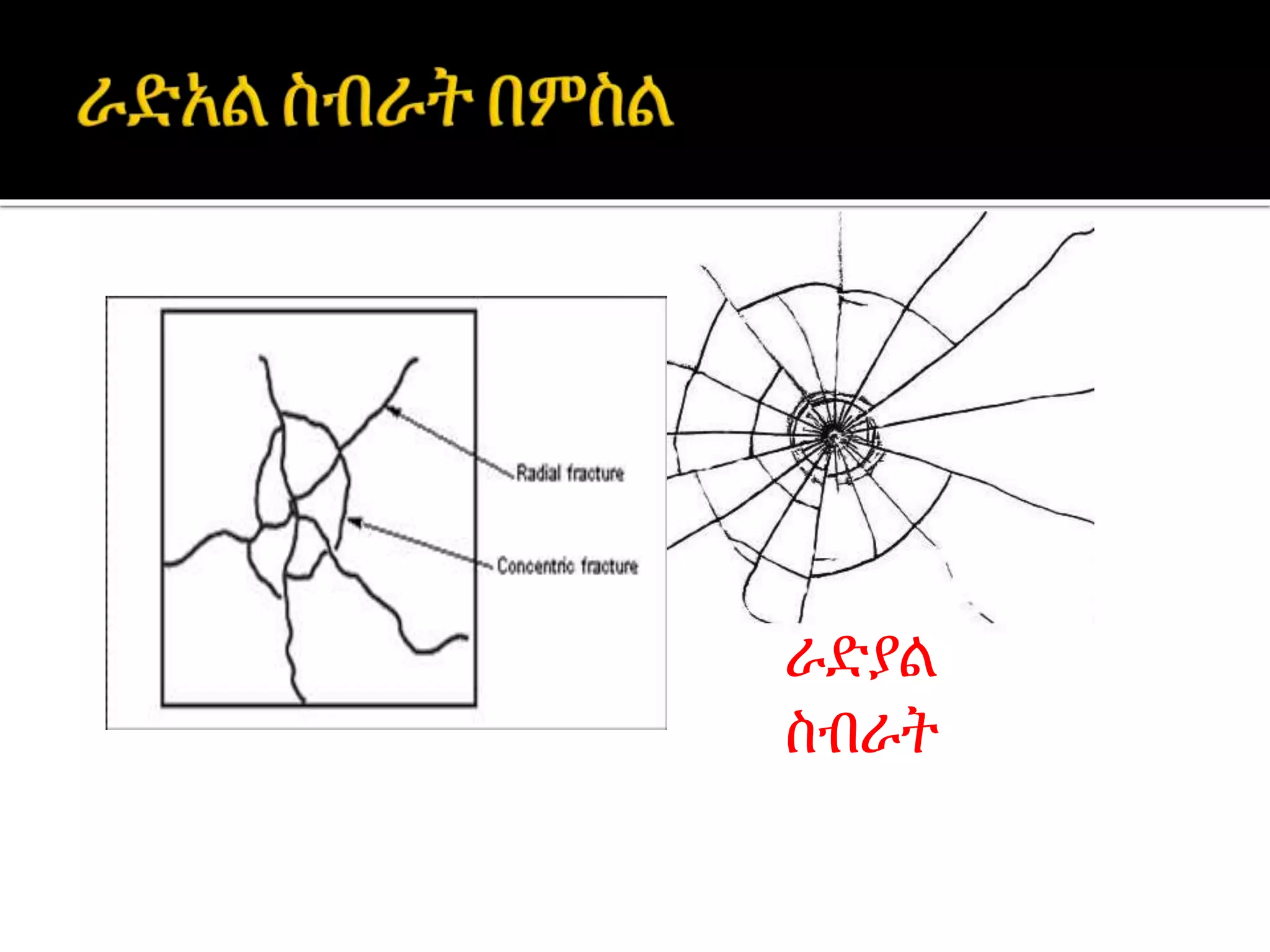 Physical trace power point 111 | PPT