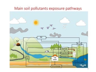 Physical transport of chemical.pptx