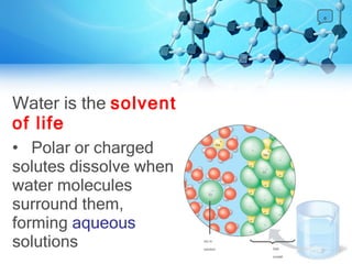 Physico chemical basis of life | PPT