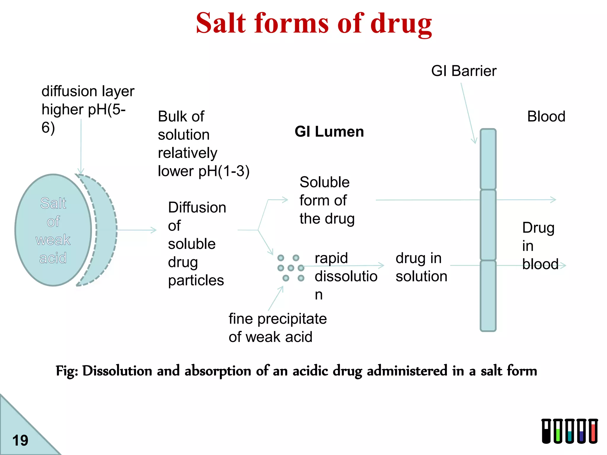 Physicochemical Properties effect on Absorption of Drugs | PPTX