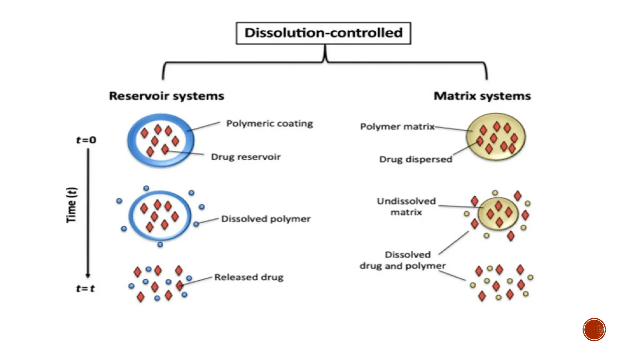 physicochemical of sr and cr& mechanism of drug delivery (1).pptx