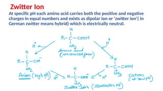 Physico Chemical Properties of amino acids.pptx