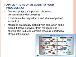 Physicochemical properties of food | PPTX
