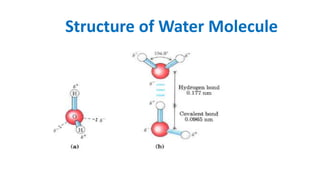 Physicochemical properties of water | PPTX