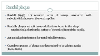 Physicochemistry of renal stones | PPTX