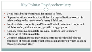 Physicochemistry of renal stones | PPTX