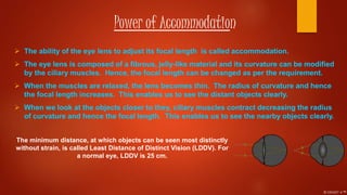 Physics human eye and colorful world/ © krazzy4™ | PPT