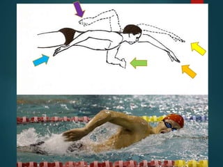 Physics of sport | PPTX