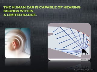 ACOUSTIC - Physics | PDF