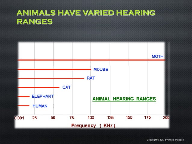 ACOUSTIC - Physics | PDF