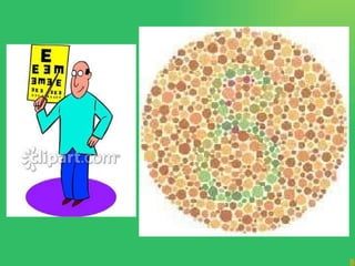 Colour Blindness Ishihara Charts | PPT