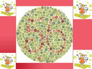 Colour Blindness Ishihara Charts | PPT