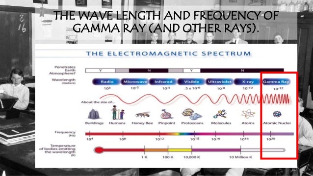 Physics Gamma Ray