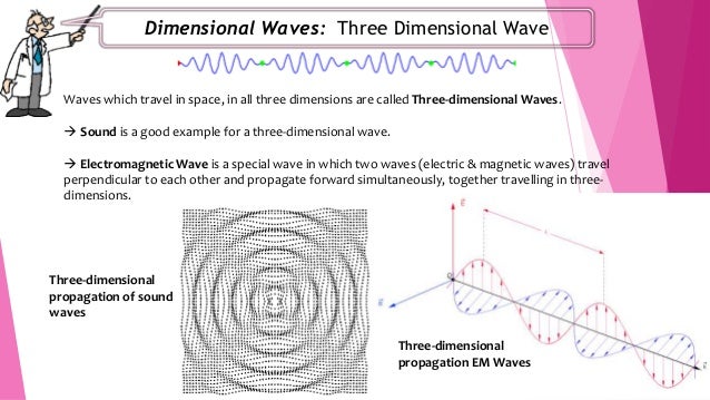 The Science of Waves