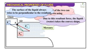 Physics - XI - Mechanical Properties of Fluids - Surface Tension.ppt