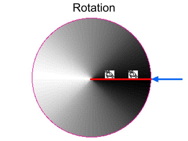 Rotation, Angular Motion and Angular Momentum | PPT