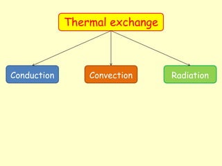 Physics 16 - Thermal processes.pptx | Physics | Science