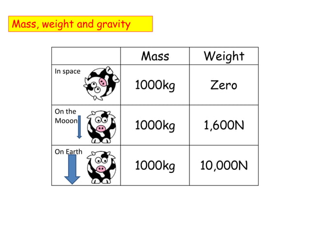 Physics 3 - Mass and Weight.pptx | Physics | Science