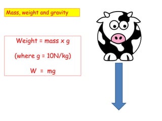 Physics 3 - Mass and Weight.pptx