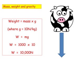 Example Of Weight In Physics