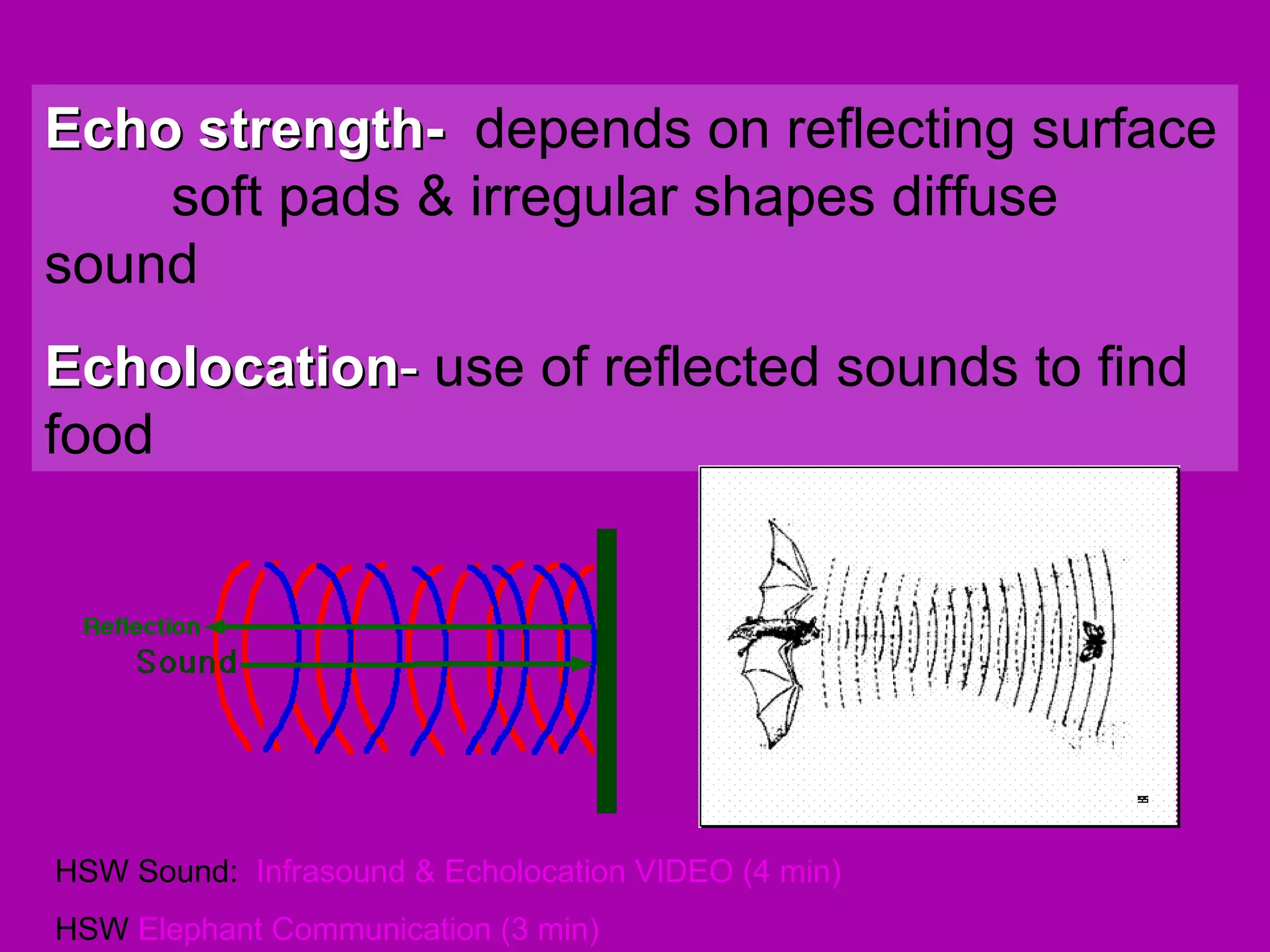 Physics 3 notes: light and sound mechanics including eyes, ears ...