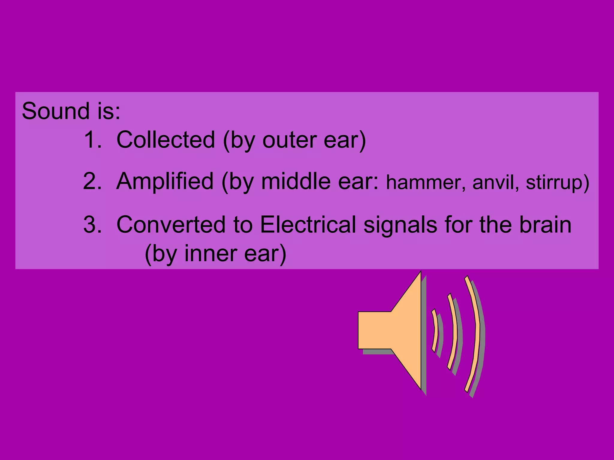 Physics 3 notes: light and sound mechanics including eyes, ears ...