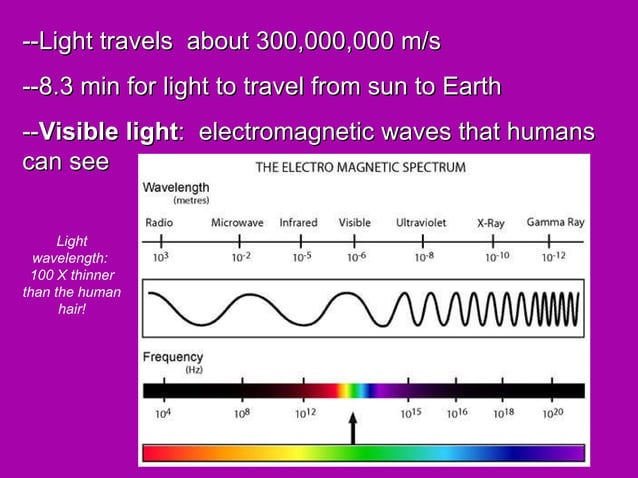 Physics 3 notes: light and sound mechanics including eyes, ears ...