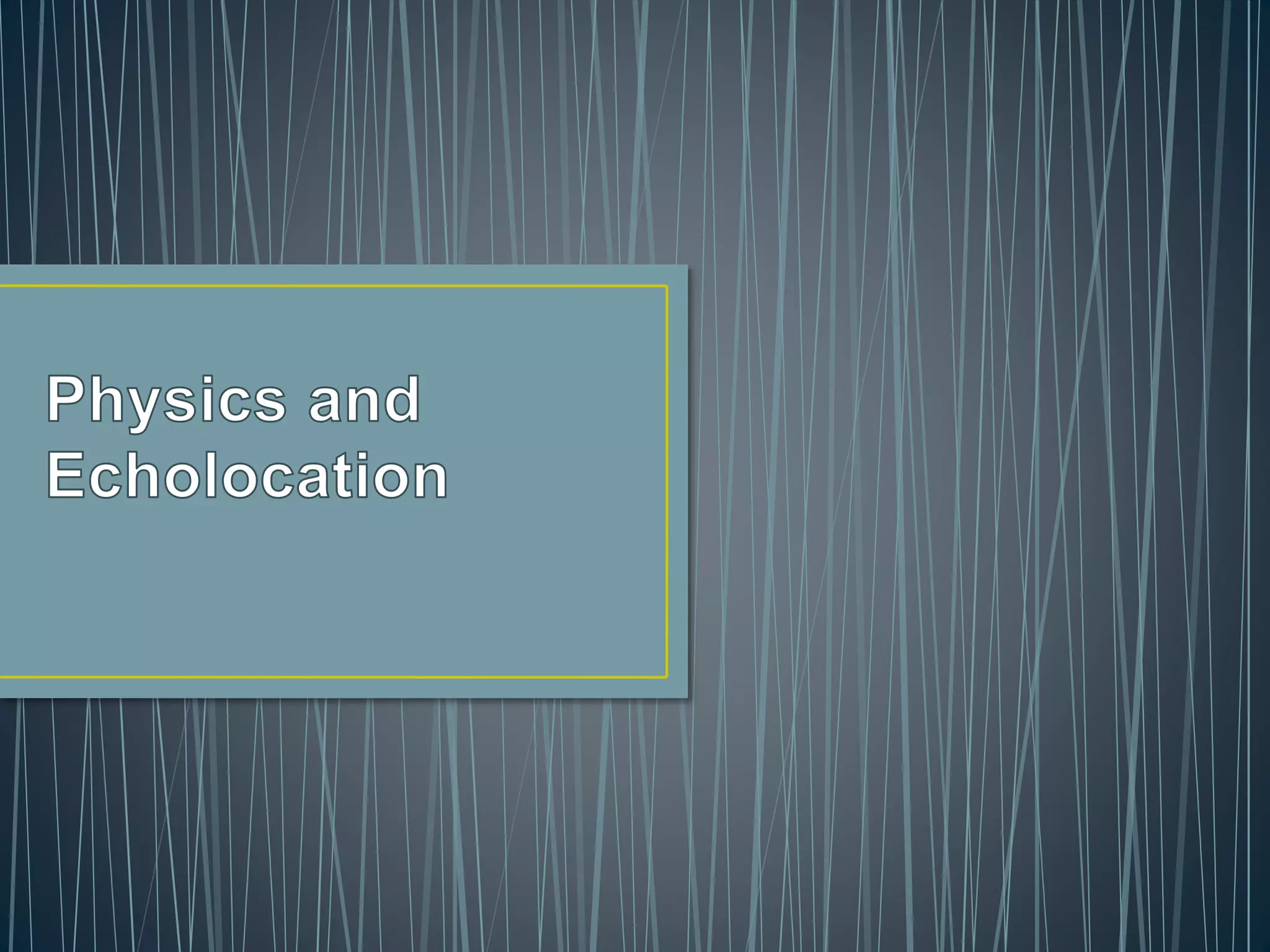 Physics and echolocation | PPTX