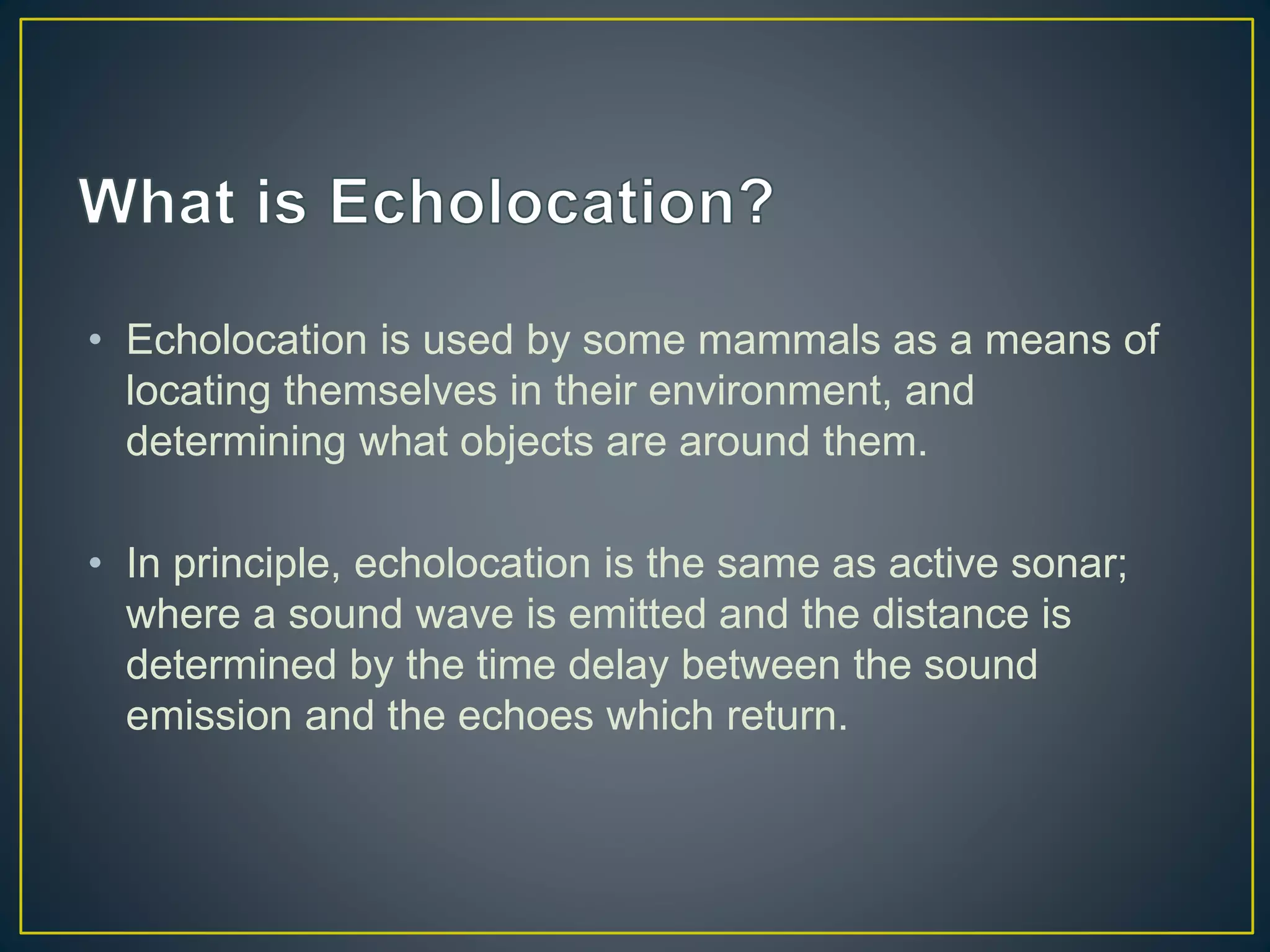 Physics and echolocation | PPTX