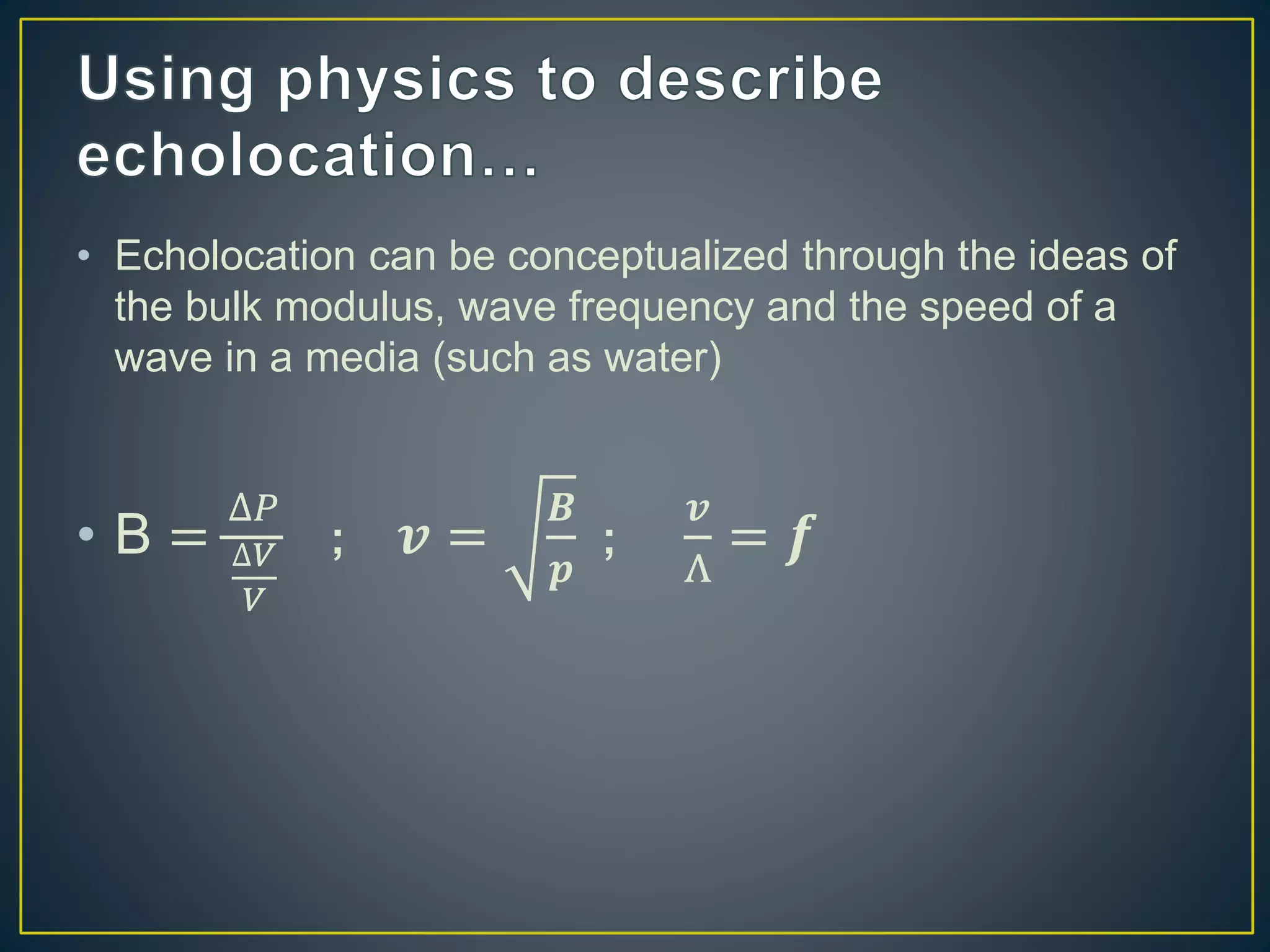 Physics and echolocation | PPTX