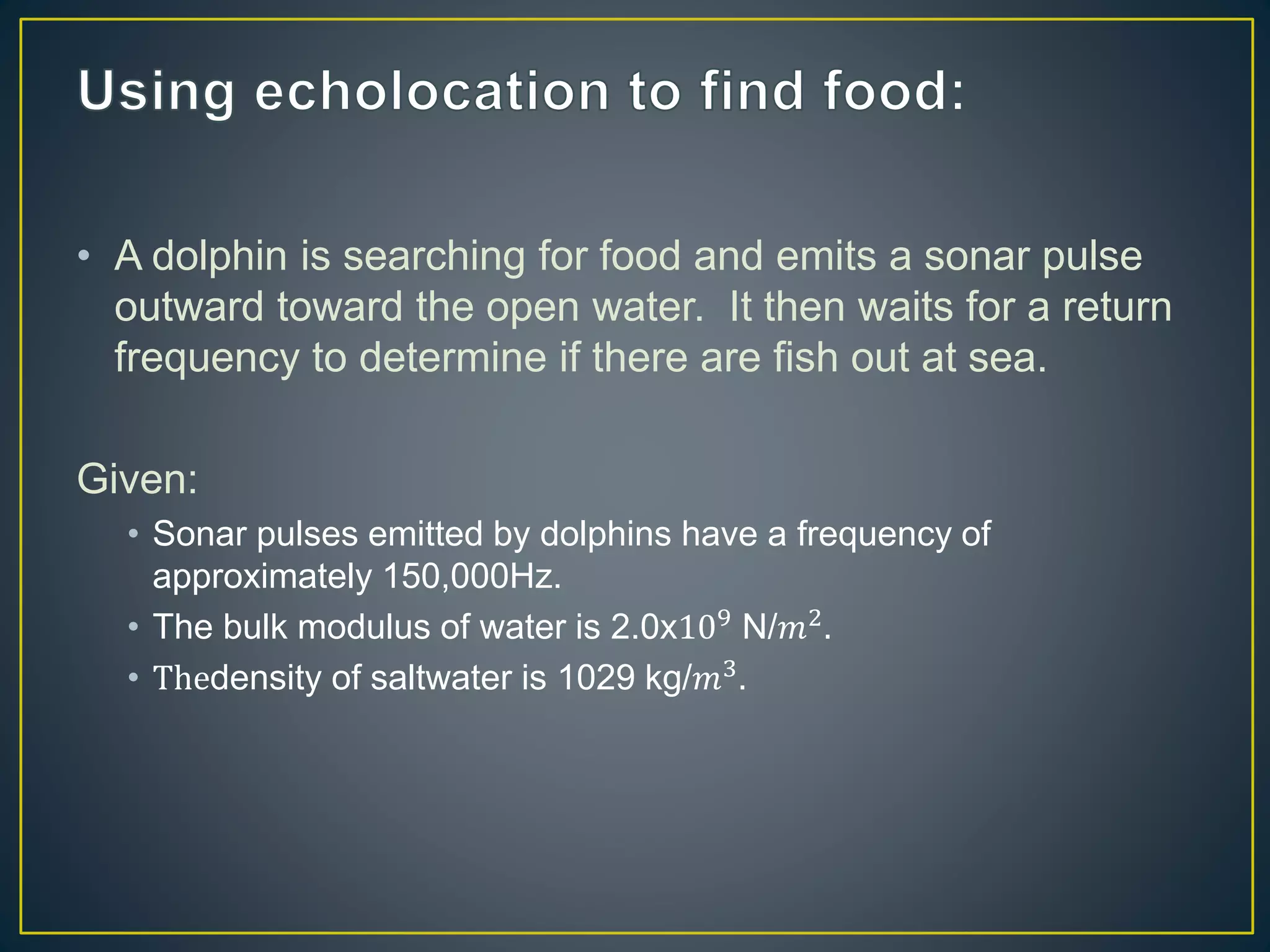 Physics and echolocation | PPTX