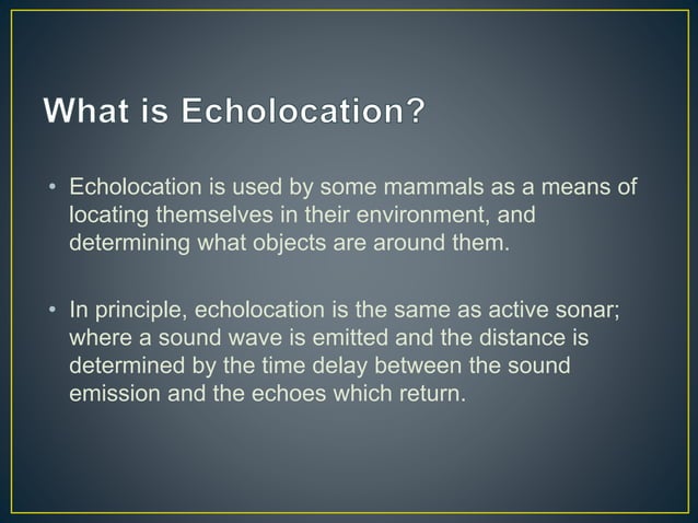 Physics and echolocation | PPTX | Physics | Science