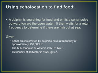 Physics and echolocation | PPTX