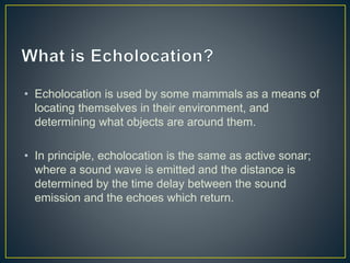 Physics and echolocation | PPT