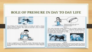 force and pressure | PPTX