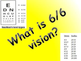 Dietary habits for 6/6 vision | PPTX