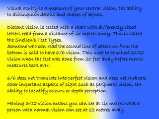 Dietary habits for 6/6 vision | PPTX