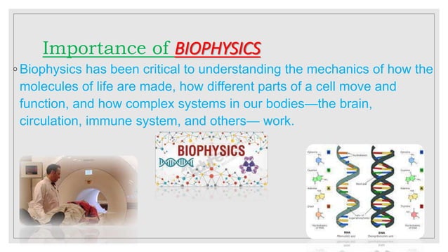 PHYSICS IN BIOLOGY.pptx