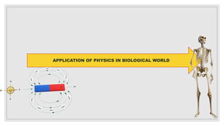 PHYSICS IN BIOLOGY.pptx