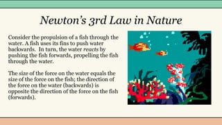 Physics_Newto's_Law_of_motion.pptx