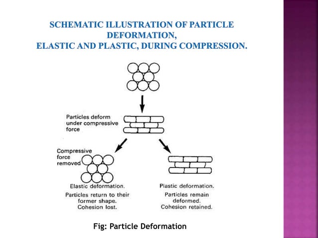 Physics of tablet compression