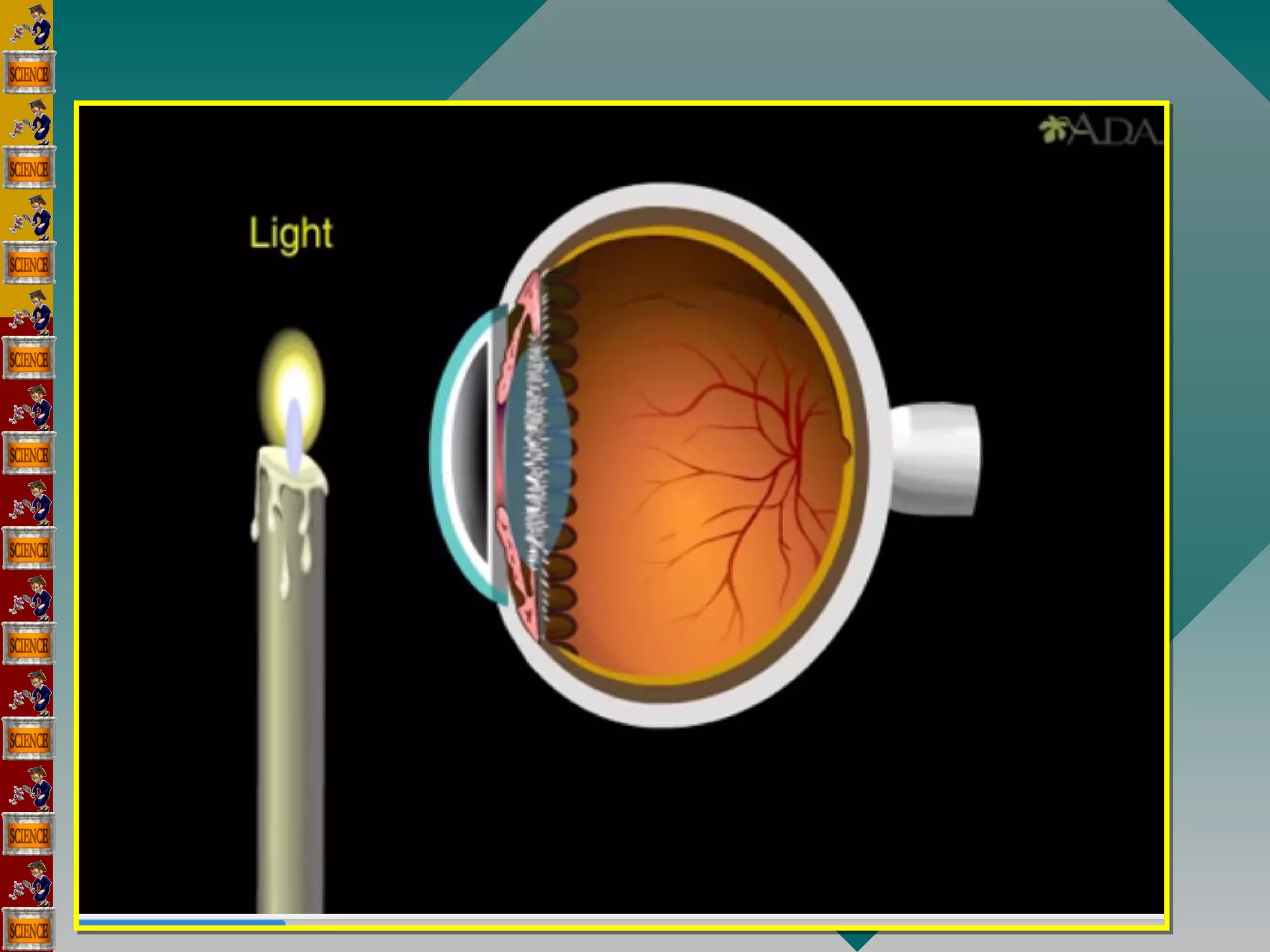 Physics of the Human Eye | PPT