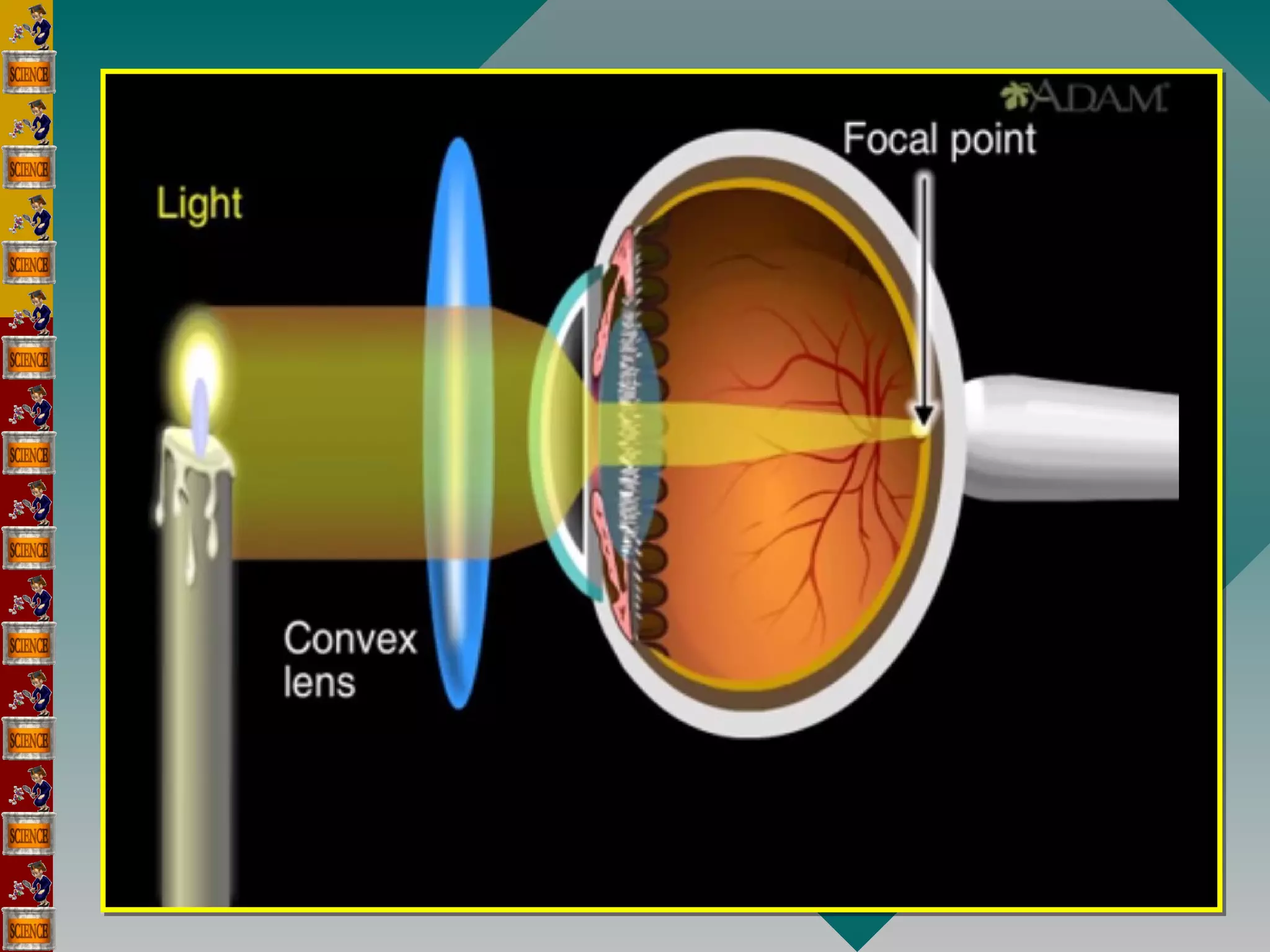 Physics of the Human Eye | PPT