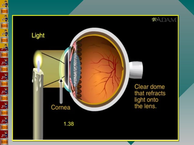 Physics of the Human Eye | PPT | Eye and Vision Conditions | Diseases ...
