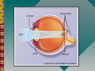 Physics of the Human Eye | PPT