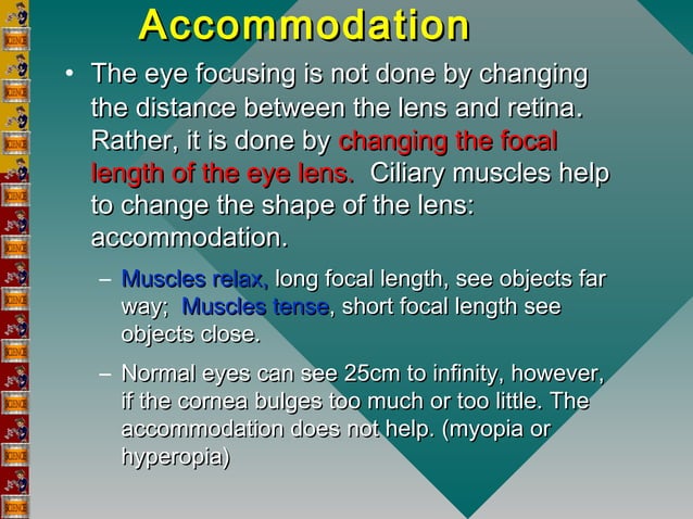 Physics of the Human Eye | PPT | Eye and Vision Conditions | Diseases ...