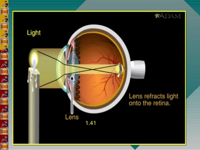 Physics of the Human Eye