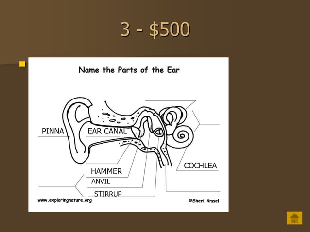 SOUND- GRADE 8 | PPTX | Digital Audio | Computer Software and Applications