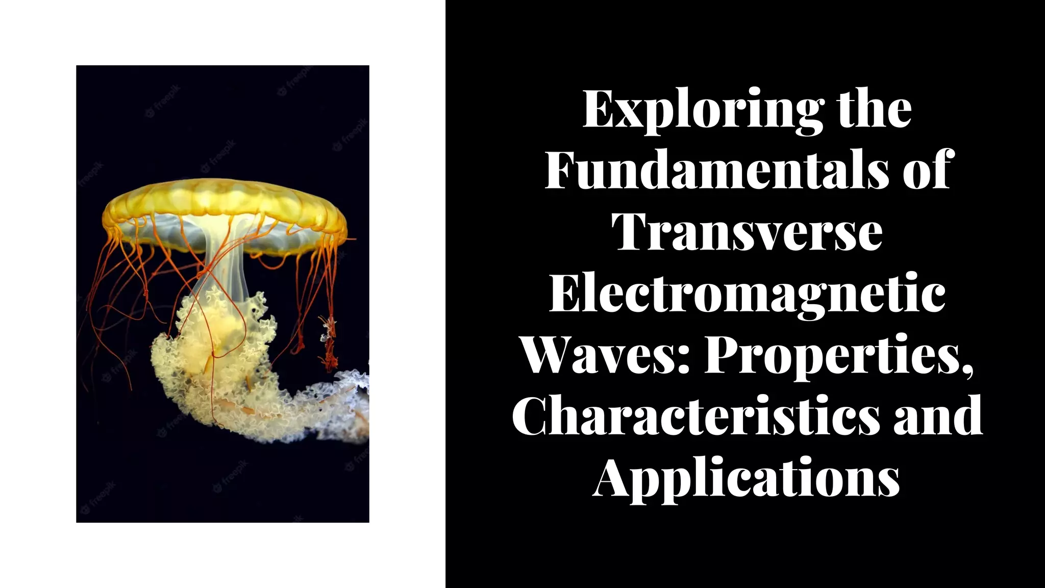 PHYSICS PPT transverse electro.....pdf